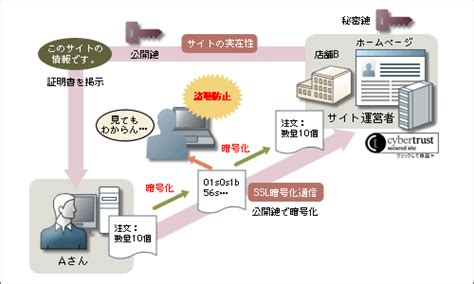Ssl Tls Blog