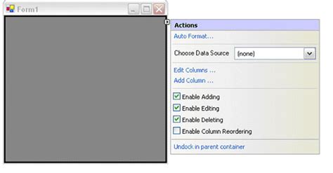 Visual Basic 2005 Express Novo DataGrid com Vídeo Demo