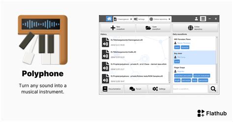 Install Polyphone On Linux Flathub