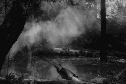 Dudebronews Tumblr Com Post 39992649703 Porn Photo Pics