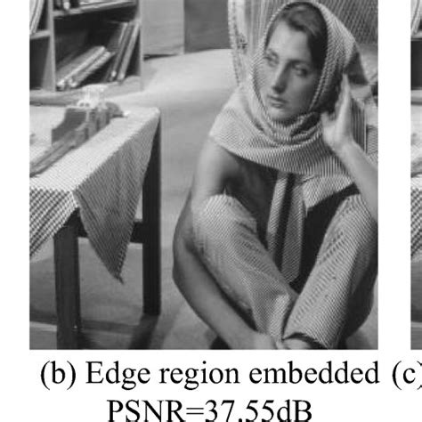 Results For Different Watermark Embedded Regions A Embedding Into