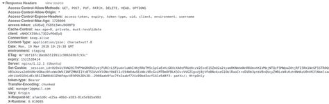 Ruby On Rails Nginx Responds 200 Ok While No Data Returned Stack