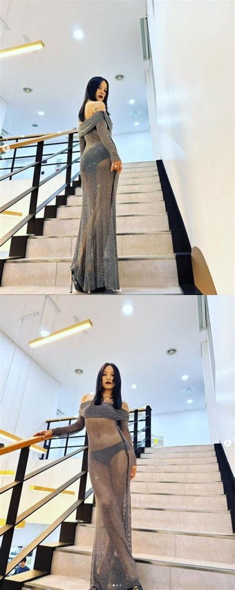 이효리 우아함과 퇴폐미의 중간 고혹적 은빛 시스루 아찔한 유혹 텐아시아