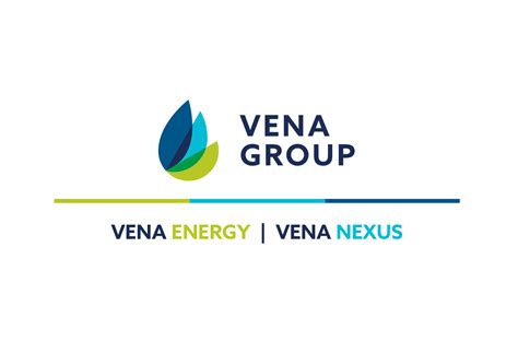 Vena Group Milestones And Achievements