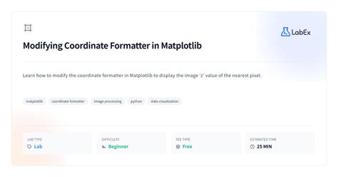 Customizing Matplotlib Coordinate Formatter Labex