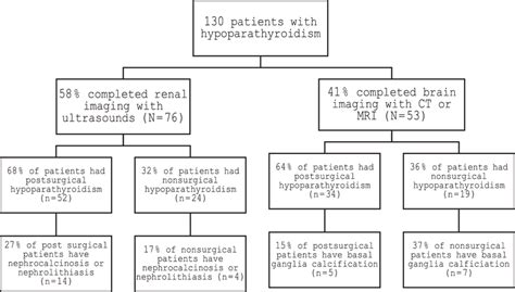 Renal And Brain Imaging Completed In Patients With Hypoparathyroidism Download Scientific Diagram