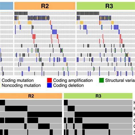 Genomic And Transcriptomic Features Of The Proteomic Subclasses A