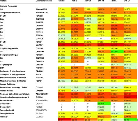Label Free Quantification LFQ Values Of Proteins Found In 12 H And 24 Download Scientific