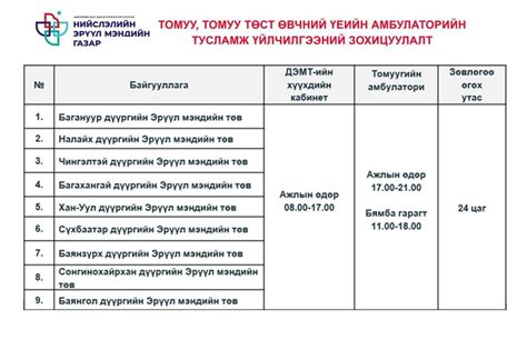 Томуу томуу төст өвчний дэгдэлт багастал эмнэлгүүд уртасгасан цагаар ажиллана