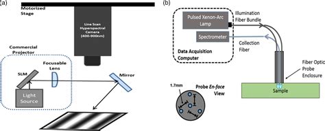 Spatial Mapping Of Drug Delivery To Brain Tissue Using Hyperspectral Spatial Frequency Domain