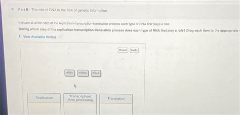 Solved Part B ﻿the Role Of Rna In The Flow Of Genetic