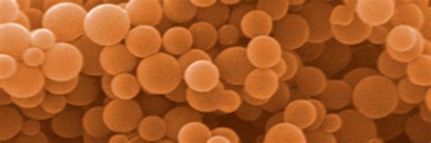 Microencapsulation Lab Drexel Bme