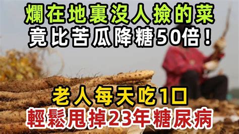 它比苦瓜降糖50倍，卻爛在地裏都沒人撿！82歲老人只吃1次，血糖快速變回正常值，23年糖尿病無影響！【健康管家】 Youtube