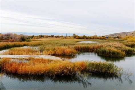 在mysql中，排序后添加序号列 知乎