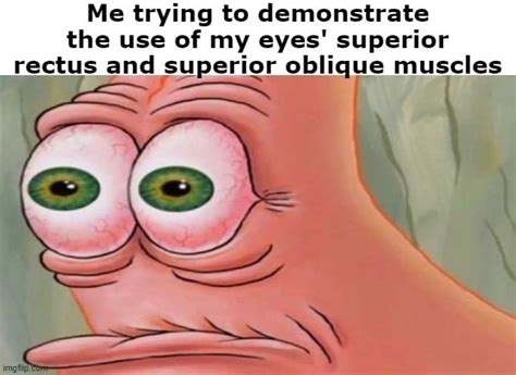 Posting My Backlog Of Memes I Made For The Free Answers At The Pub Trivia I Host Day 42 R 196