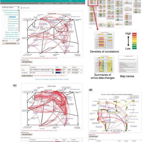 Representation Of Correlation Networks On Metabolic Pathway Maps In