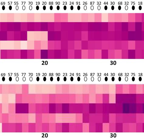 Graph Research Lab Anu Publications