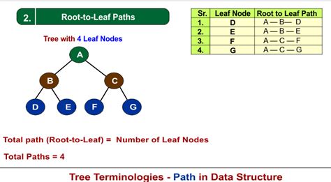 basic tree terminologies in data structure cs taleem