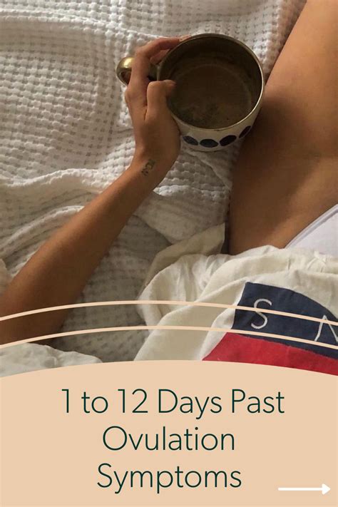 Steps To Help Choose The Right Fertility Provider For You Artofit