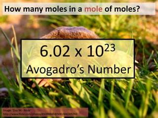 Stoichiometry The Mole PPTX