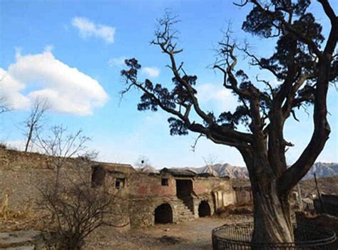 灵水举人村