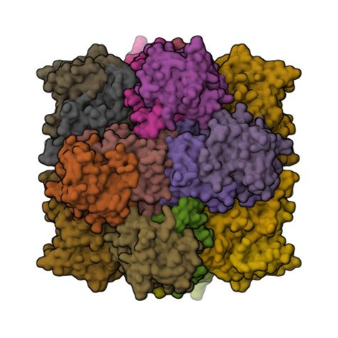Rcsb Pdb 1eob Crystal Structure Of Acinetobacter Sp Adp1