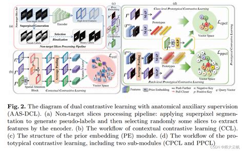 Contrastive Learning Medical Image Segmentationdual Contrastive Learning With Anatomical