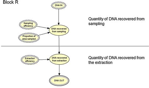 Helping To Distinguish Primary From Secondary Transfer Events For Trace