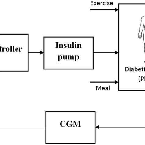 Closed‐loop Artificial Pancreas Ap Controlled System Download