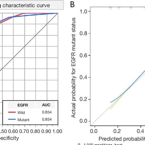 The Roc Curves And Calibration Plot Of Ct Based Dta Model A Roc