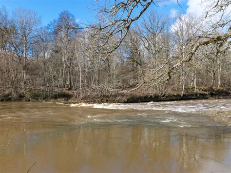 Spring Landscape With River And Naked Trees On The River Bank Stock Image Image Of Outdoors