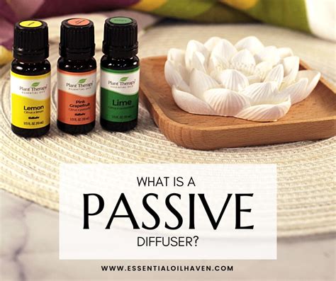 What Is A Passive Diffuser And How Do I Use Mine