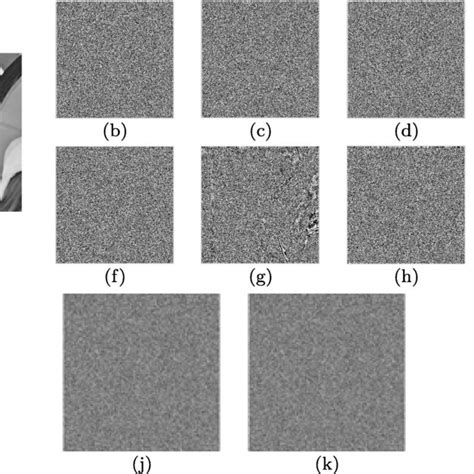 Significant Bitplane Information For Different Image Databases A For Download Scientific