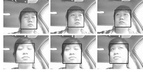 Figure 2 From Real Time Physiological And Vision Monitoring Of Vehicle Driver For Non Intrusive
