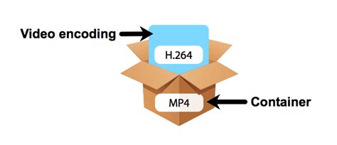 Video Codecs And Encoding Ultimate Guide