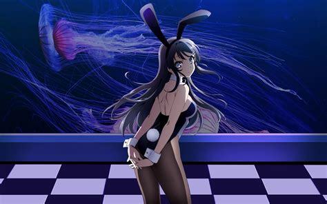 Anime Bunny Girl Hd Wallpapers Wallpaper Cave
