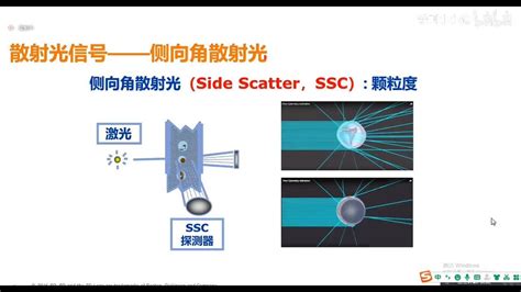 【研究生】流式细胞术原理、荧光通道、流式图、实验对照设计等 哔哩哔哩