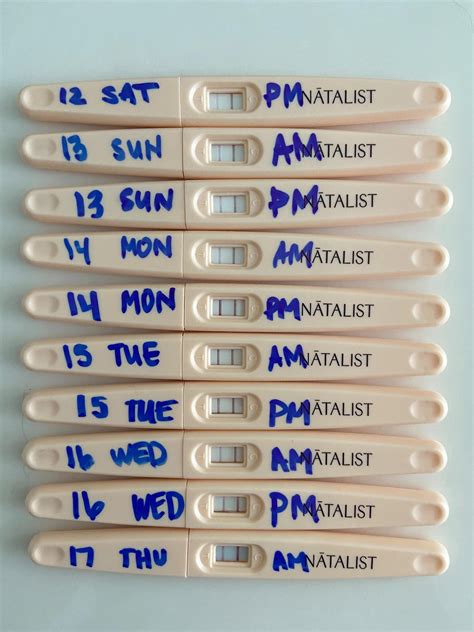 What Does A Positive Ovulation Test Look Like By Natalist Medium