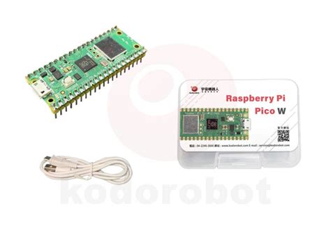 Raspberry Pi Pico W套件組 宇宙機器人