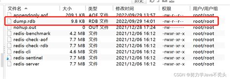 Redis 迁移备份 （备忘）redis Rdb快照数据怎么备份到另一台机器原机器数据不动 Csdn博客