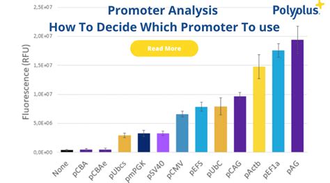 Promoter Analysis How To Decide Which Promoter To Use