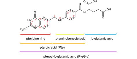 Chemical Structure Of Pteroic Acid Pte And Folic Acid Or Pteroyl Download Scientific Diagram