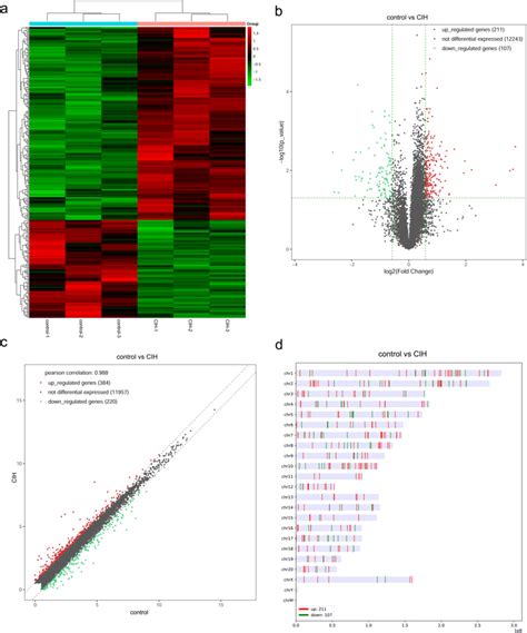 Degs Between Cih And Normoxia Group Hierarchical Clustering Analysis
