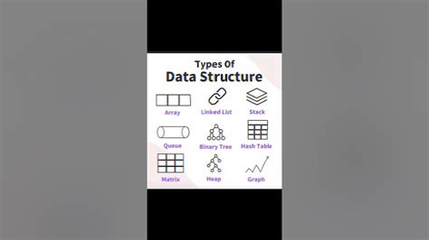 Data Structure Types 😍 Datastructures Dsa Algorithm Dsalgo Youtube