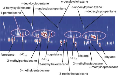 GC GC FID Color Contour Chromatogram For A F Of Sample C Download Scientific Diagram