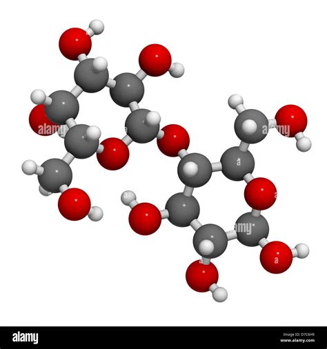 Lactose Structure Molecule