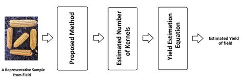 Shows The Diagram Of The Yield Estimation Procedure Download Scientific Diagram