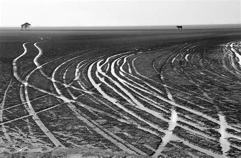 کسب مدال طلای هفتمین جشنواره بین المللی عکس نوی ساد صربستان توسط دکتر