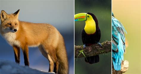 list timeseries forecasting curated by marco zanchi medium