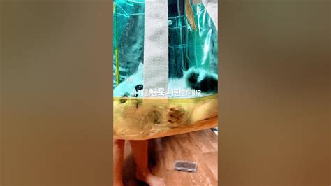 나랑 친구하자 🥰 Youtube